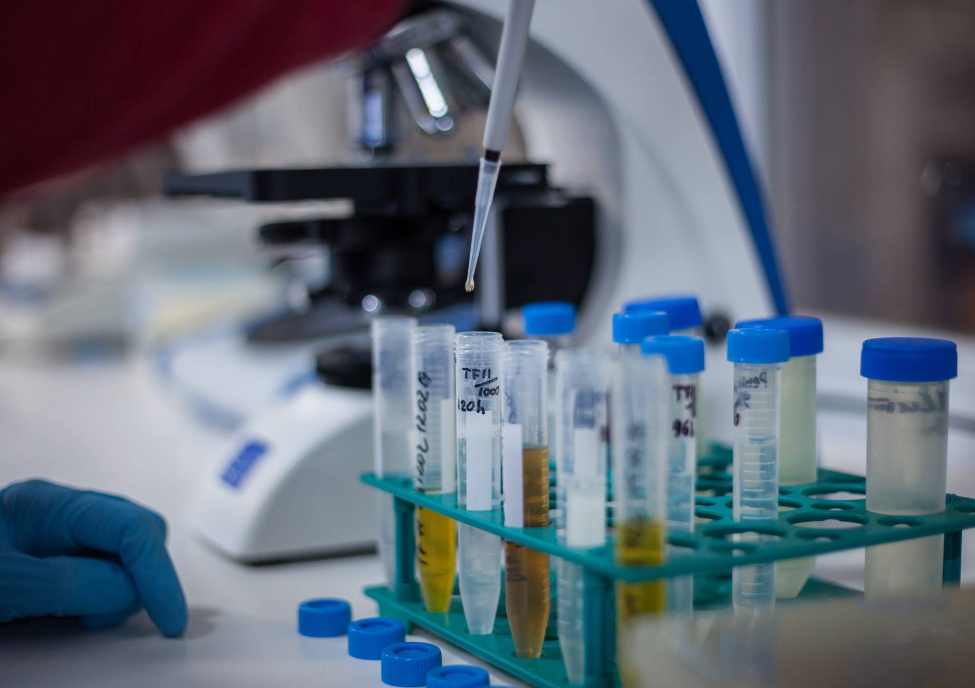 Technical Support for Activated Carbon and Service Solutions